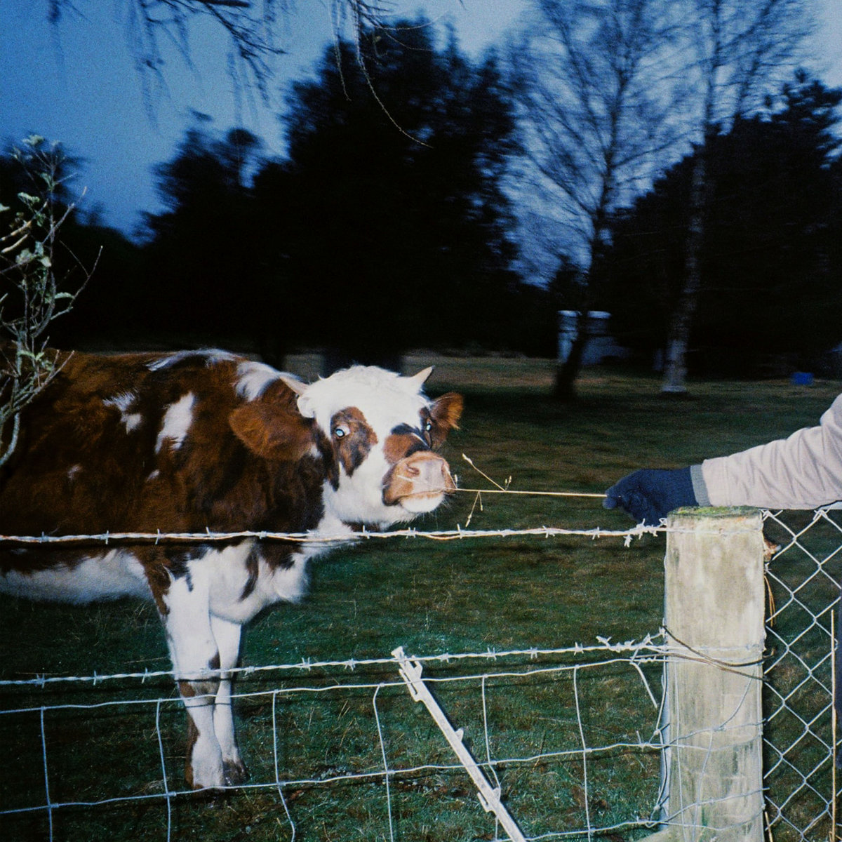 G.Y.S.S. by Hans Pucket